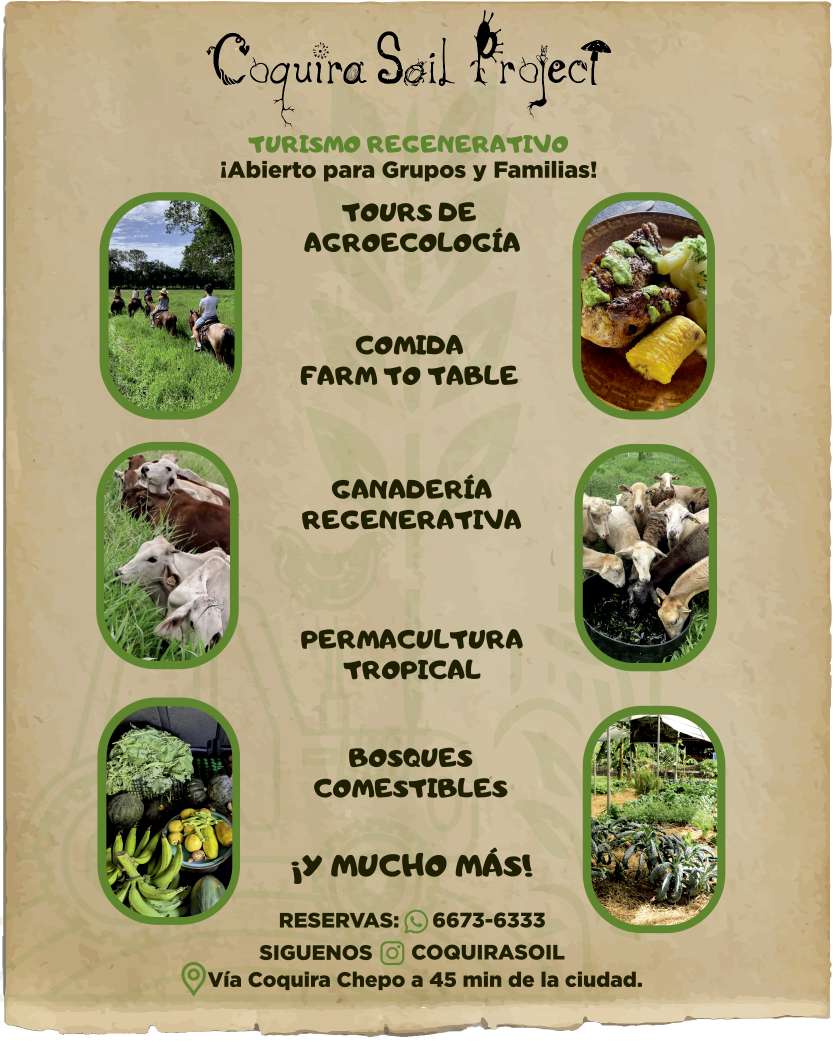 The Visitor Panama | Live the Visitor Experience